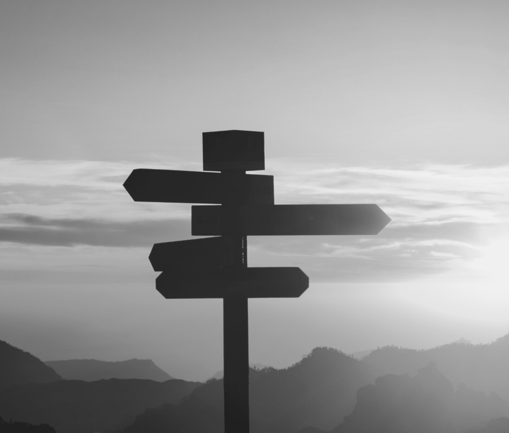 What is the true definition of purpose-driven business? - Soleil Marketing